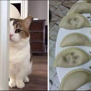 专业骗赞骗三连 