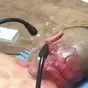 小超起飞啦 