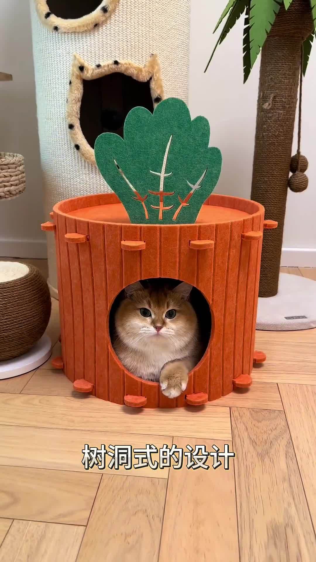 不会还有人不知道这个猫抓窝吧!能磨爪子能睡觉能当玩具,磨爪子还不...