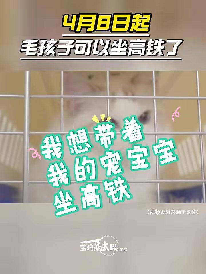 4月8日起,毛孩子可以坐高铁了!这些高铁车次试点宠物托运