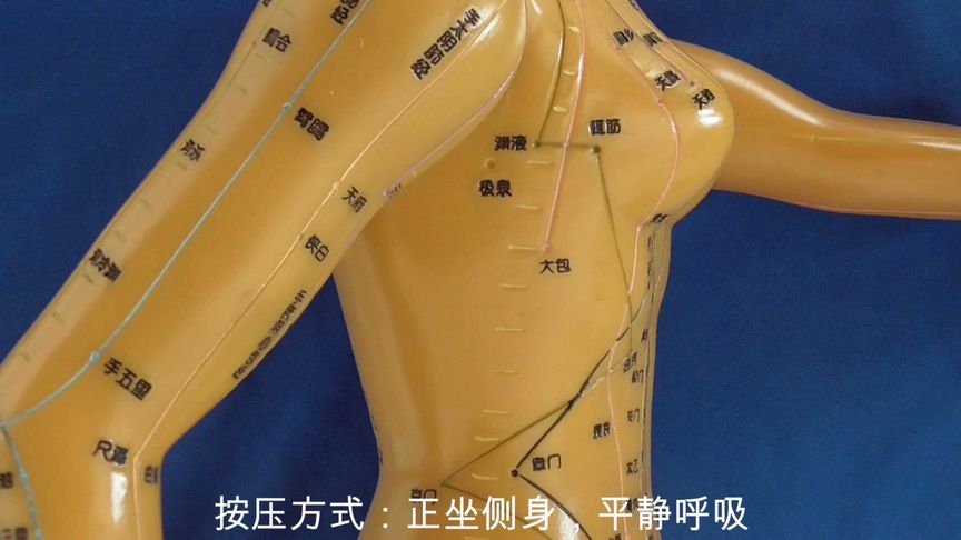 大包穴治:胸胁中痛,实则身尽痛,泻之;虚则百节尽皆纵,补之