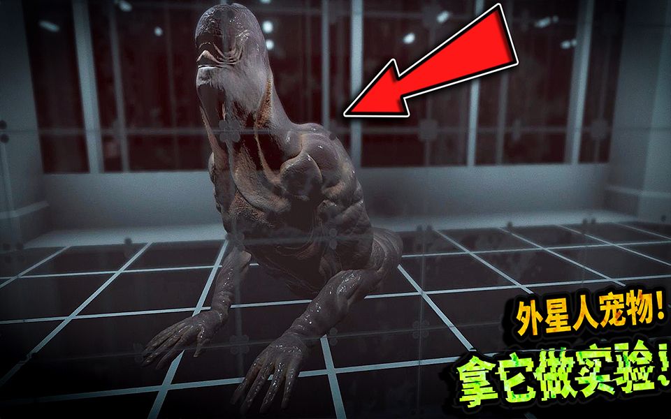 我在实验室里养了只外星人宠物!结局竟然被它跑了!恐怖游戏【三爷...