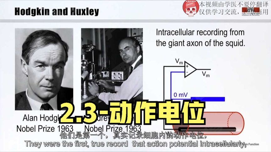 【脑功能的细胞机制】| 动作电位(2.3)
