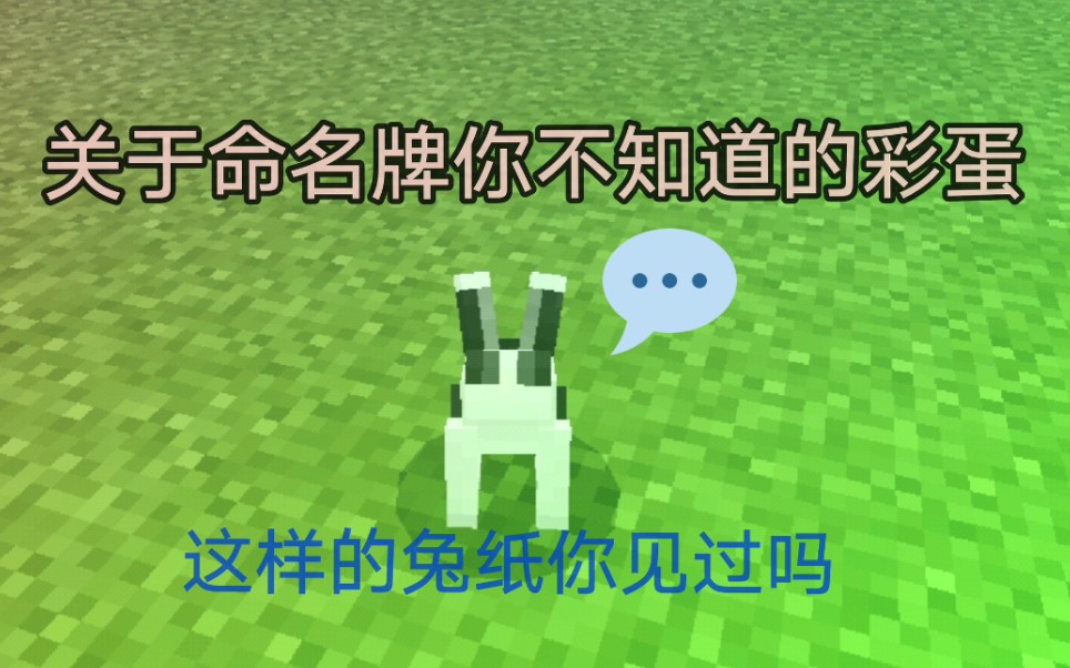 【MC彩蛋】关于命名牌你不知道的彩蛋