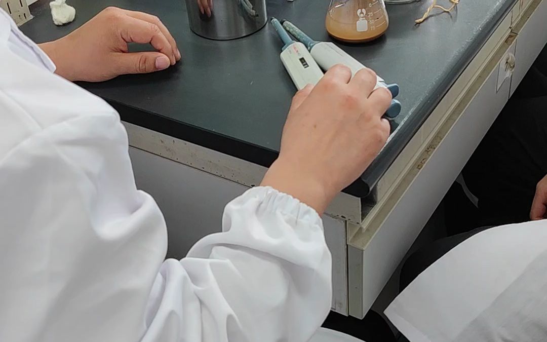 微生物学实验第10周(土壤中微生物的分离)(2)