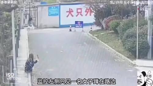 女子蹲在路边被狗撕咬,狗主人多次追打无效,令人匪夷所思