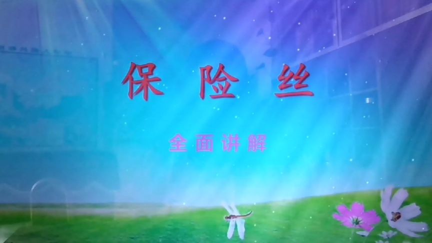 保险丝(全面讲解)