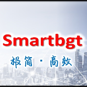 Smartbgt财务预算及分析 