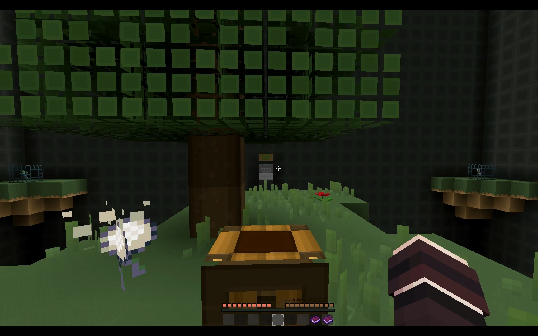 【MC】方格逃脱?不,是方格生存!01