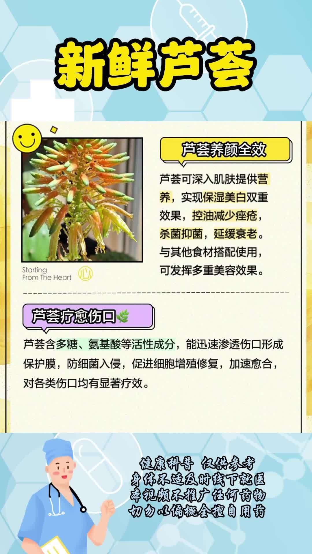 新鲜芦荟的功效与作用的正确用法,快来看看吧!