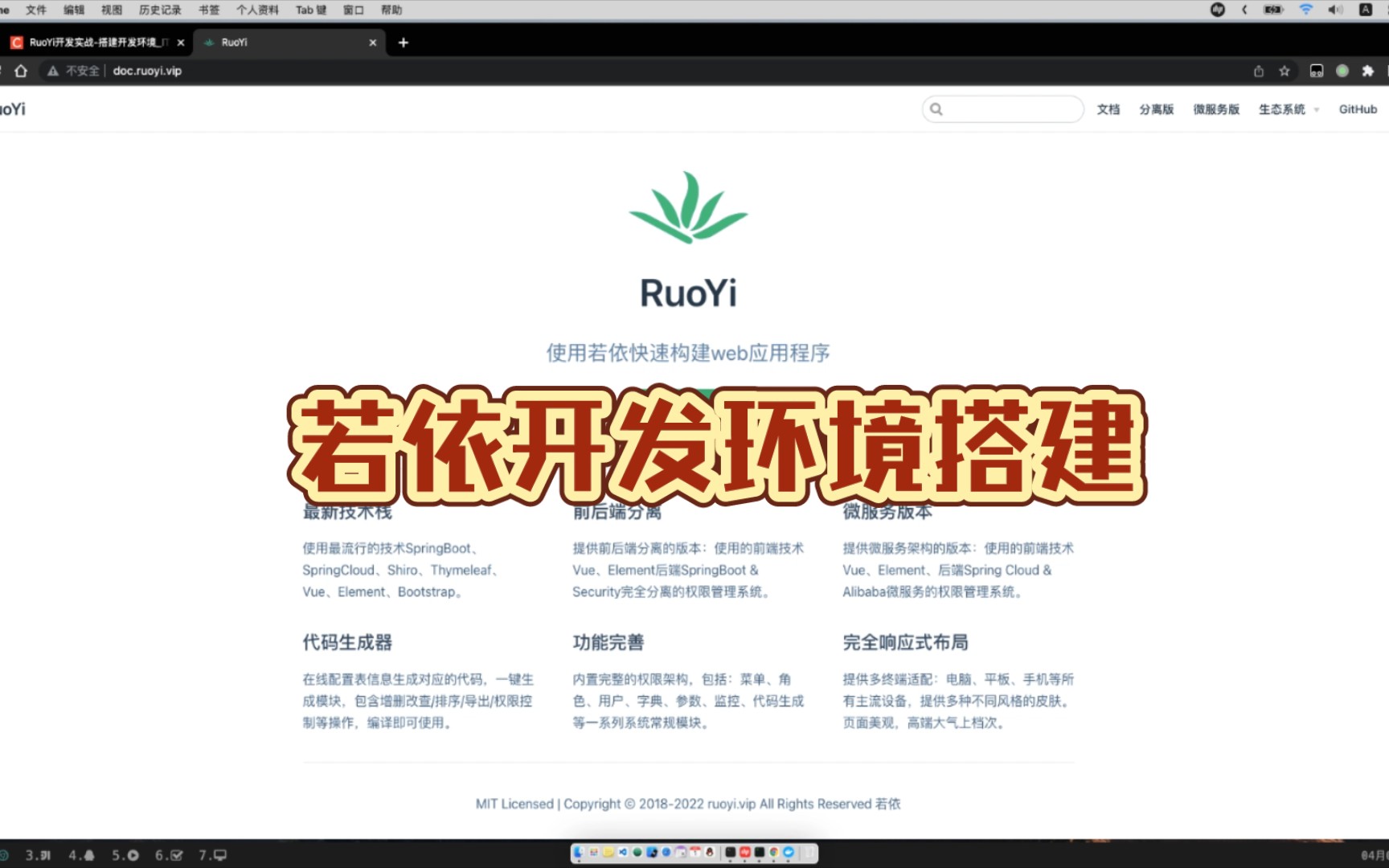 IDEA若依RuoYi开发实战-搭建开发环境含mysql+redis安装教程
