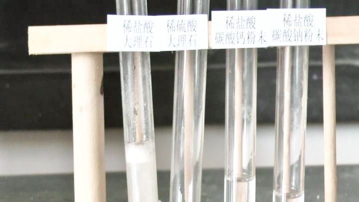 制取二氧化碳的选用药品对比实验