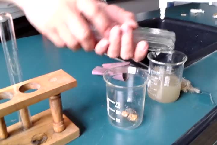 实验四探究锌铁铜的活动性