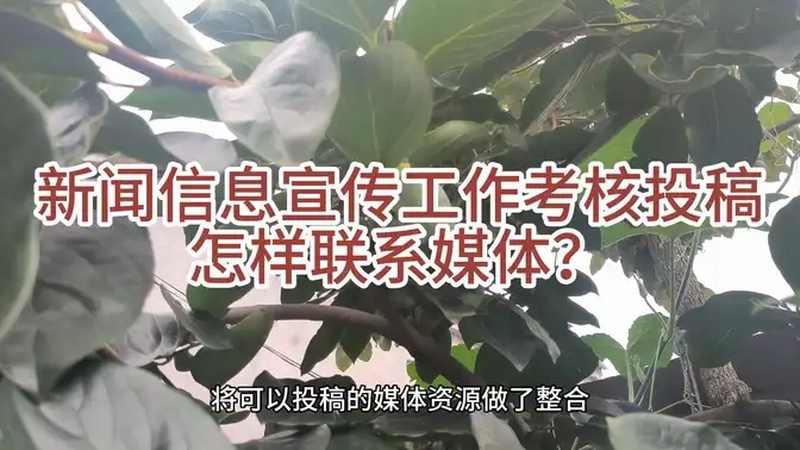 新闻信息宣传工作考核投稿怎样联系媒体?