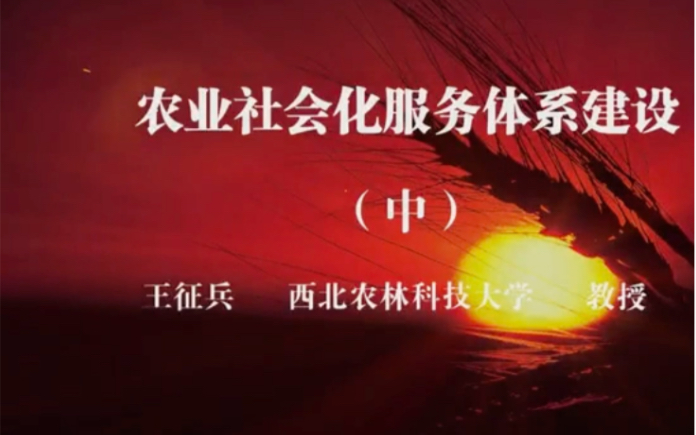 农业社会化服务体系建设二