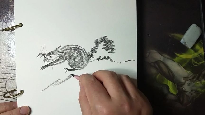 画小松鼠,怎样才简单好看
