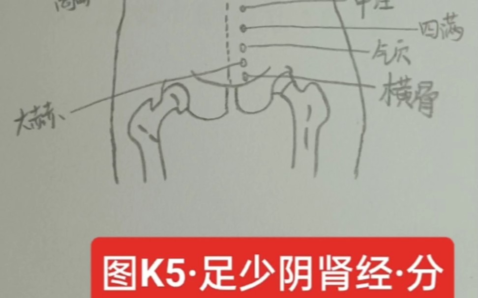 《图K5·足少阴肾经》分