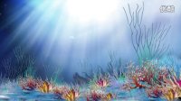 19海底世界高清视频背景