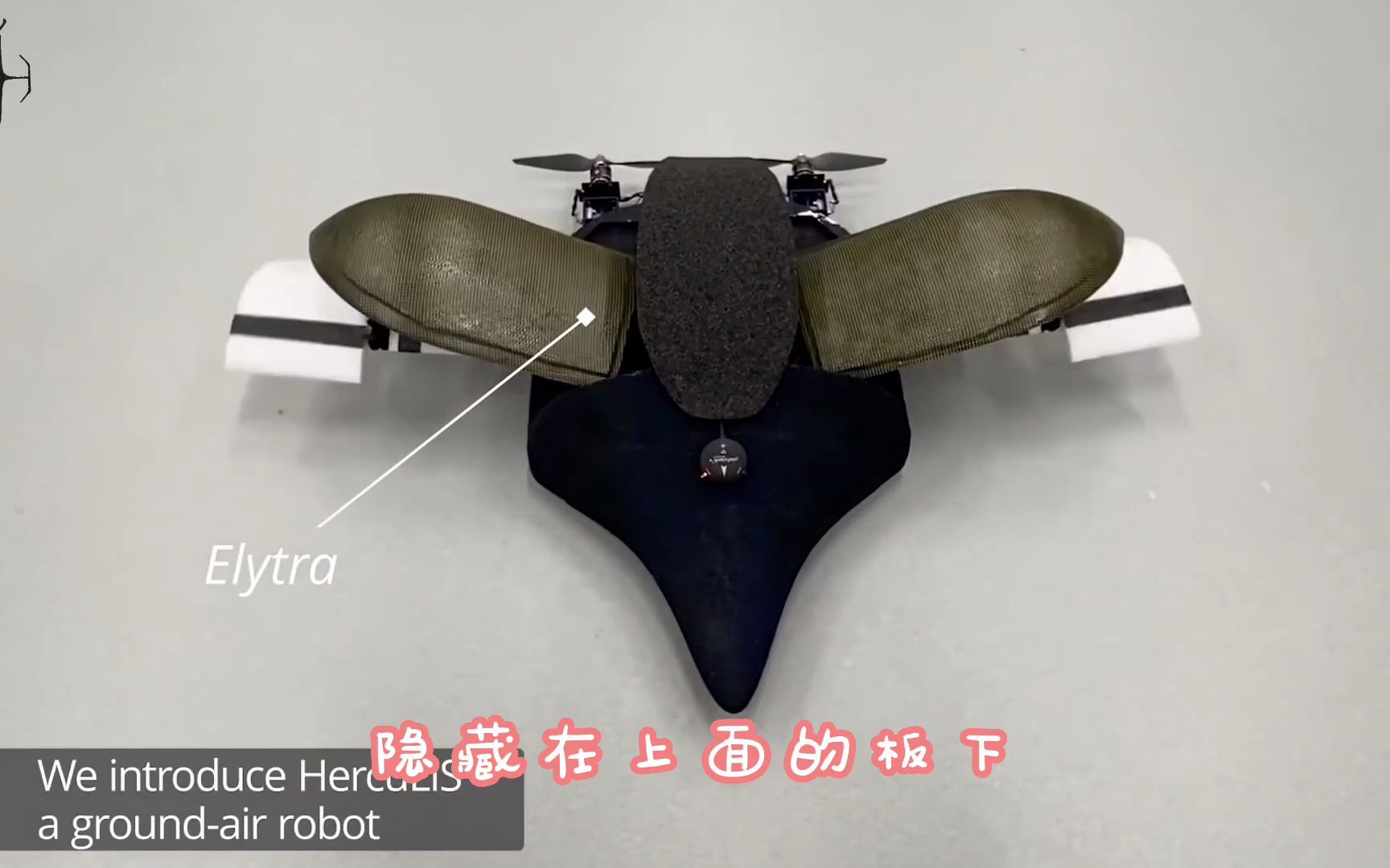 第10期科技改变生活,来看看科技是怎么模拟生物的
