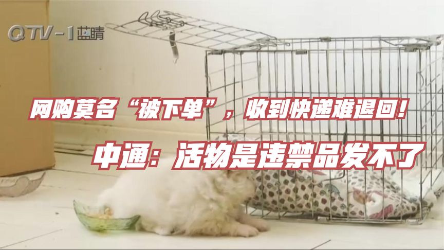 拼多多网购“被下单”,收到快递难退回!中通:活物是违禁品发不了