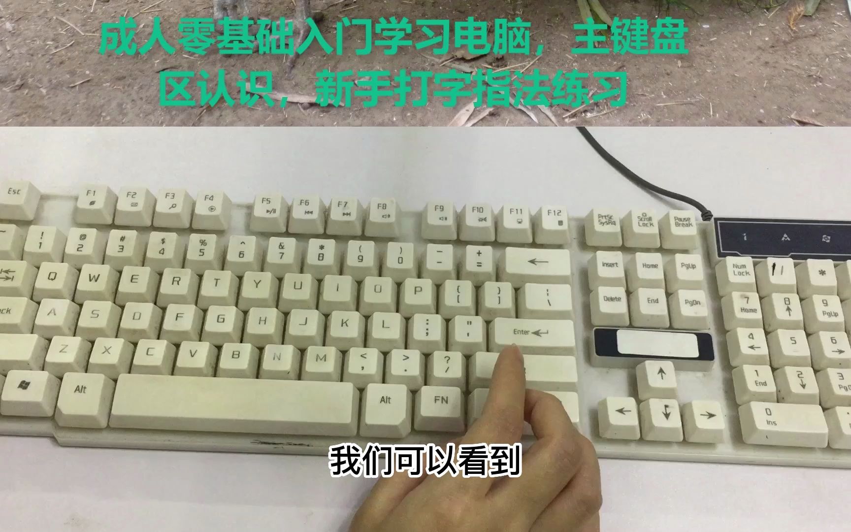 电脑零基础入门教学知识,键盘主键盘区讲解,电脑培训