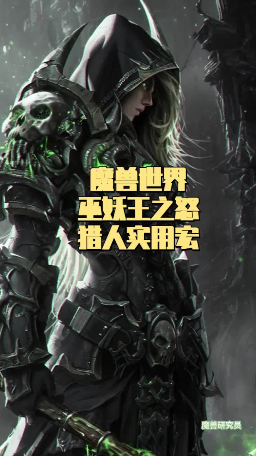 《魔兽世界巫妖王之怒》猎人神器!一键实用宏命令大放送!