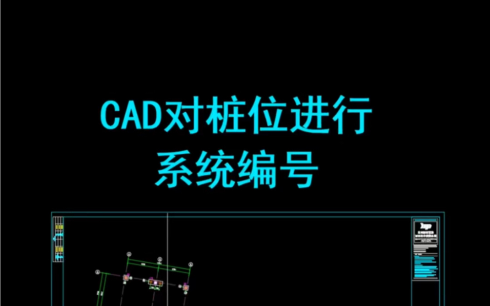 CAD如何对桩位进行系统编号