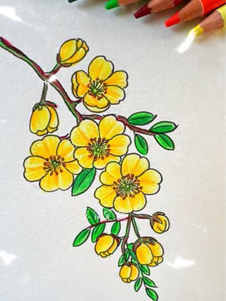 有认识这是什么花朵吗? #简易花草画法 #儿童画 #简笔画 #零基础学...