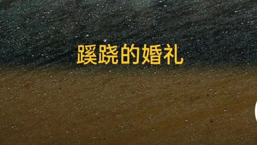 真实案件:一对母女骗婚骗钱终难逃法律的惩罚