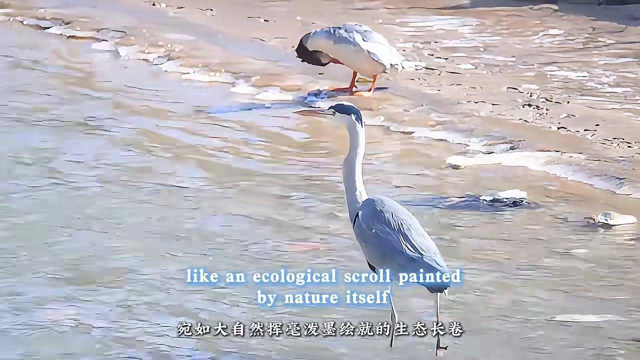 【英文说广河】TheGuangtongRiver,likeanecologicalscrollpaintedby...