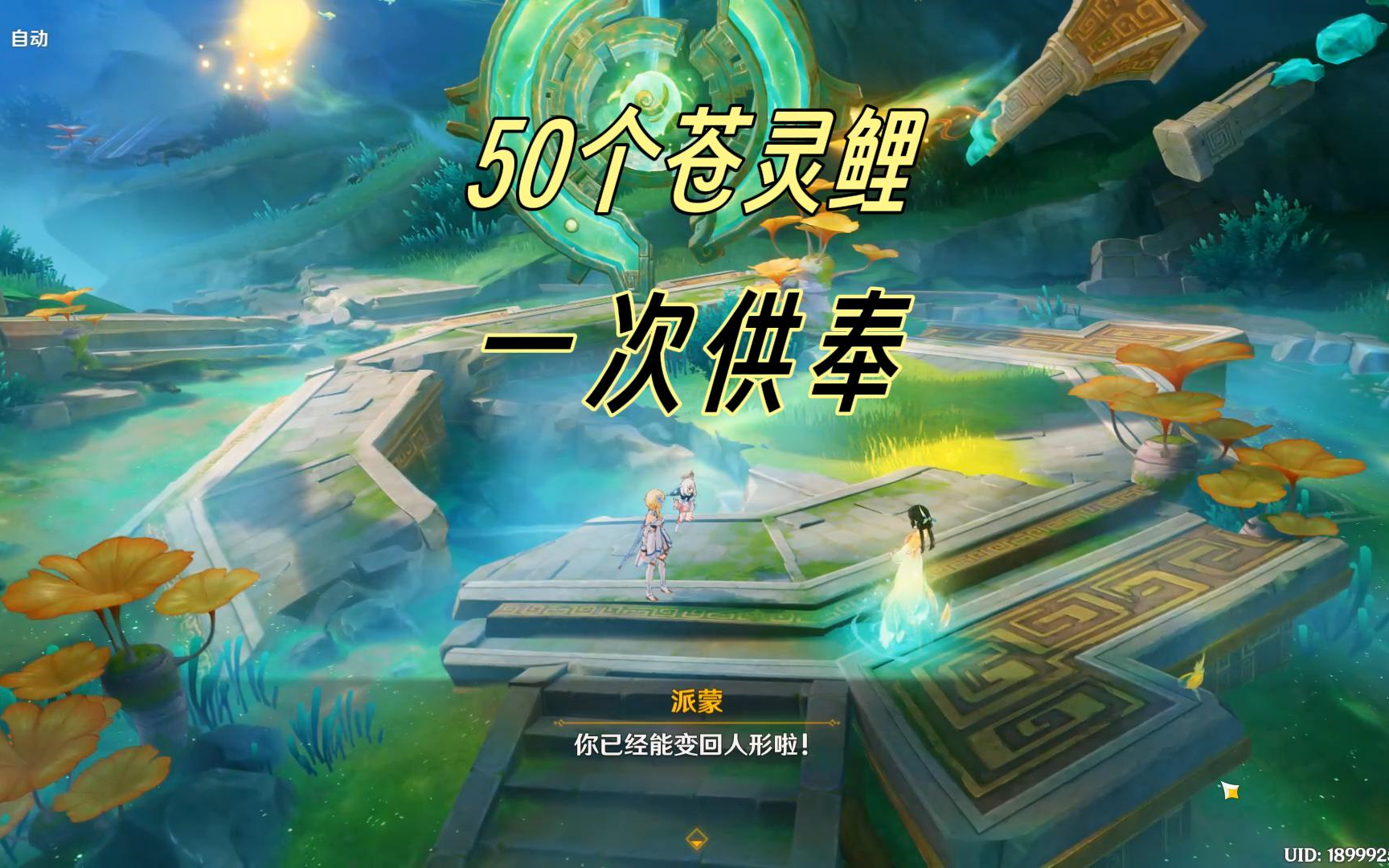 【原神】一次性供奉所有苍灵鲤是一种什么体验_哔哩哔哩bilibili_原神