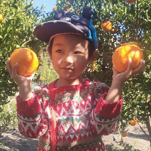 宇秦的幸福生活 