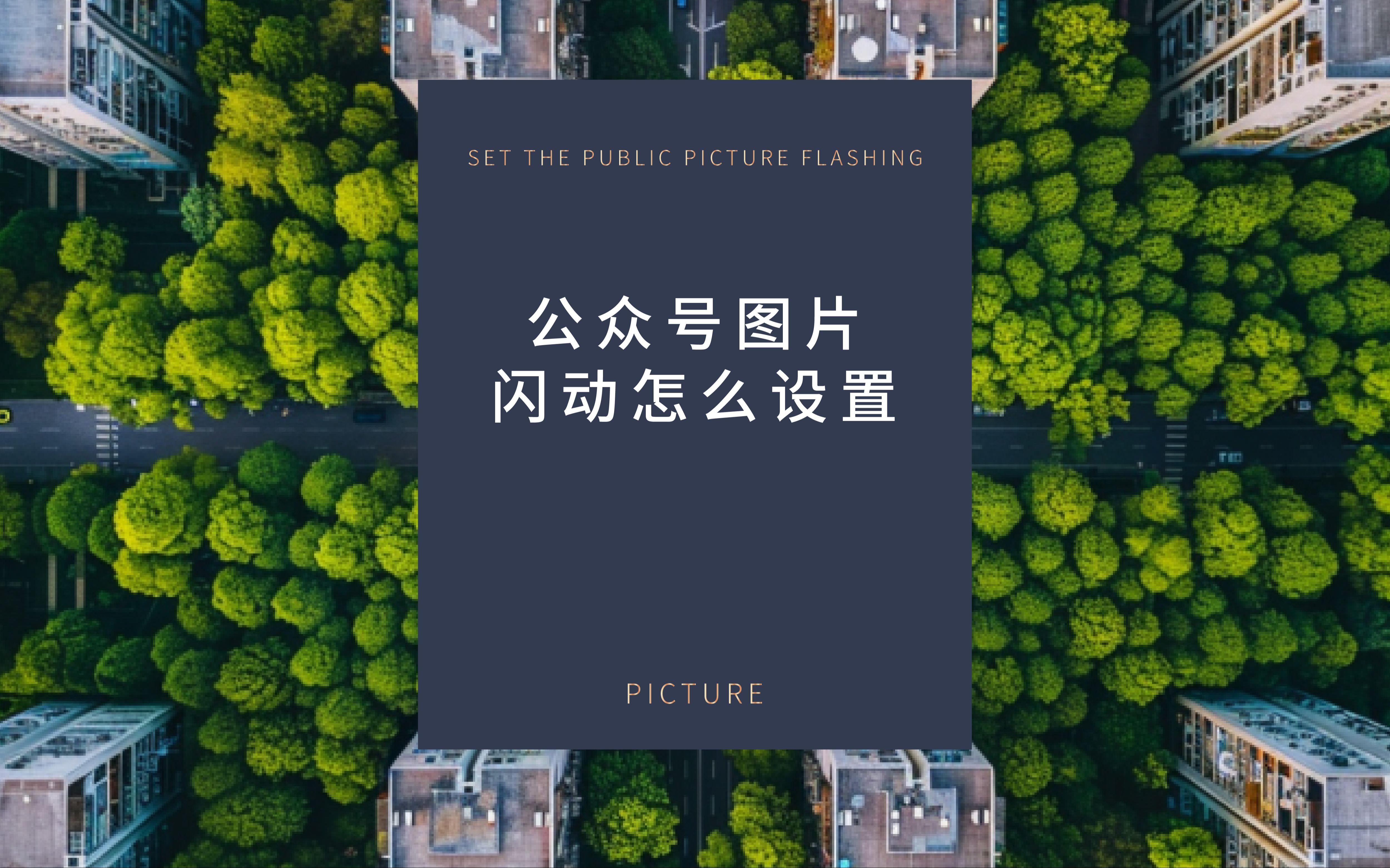 公众号图片闪动怎么设置