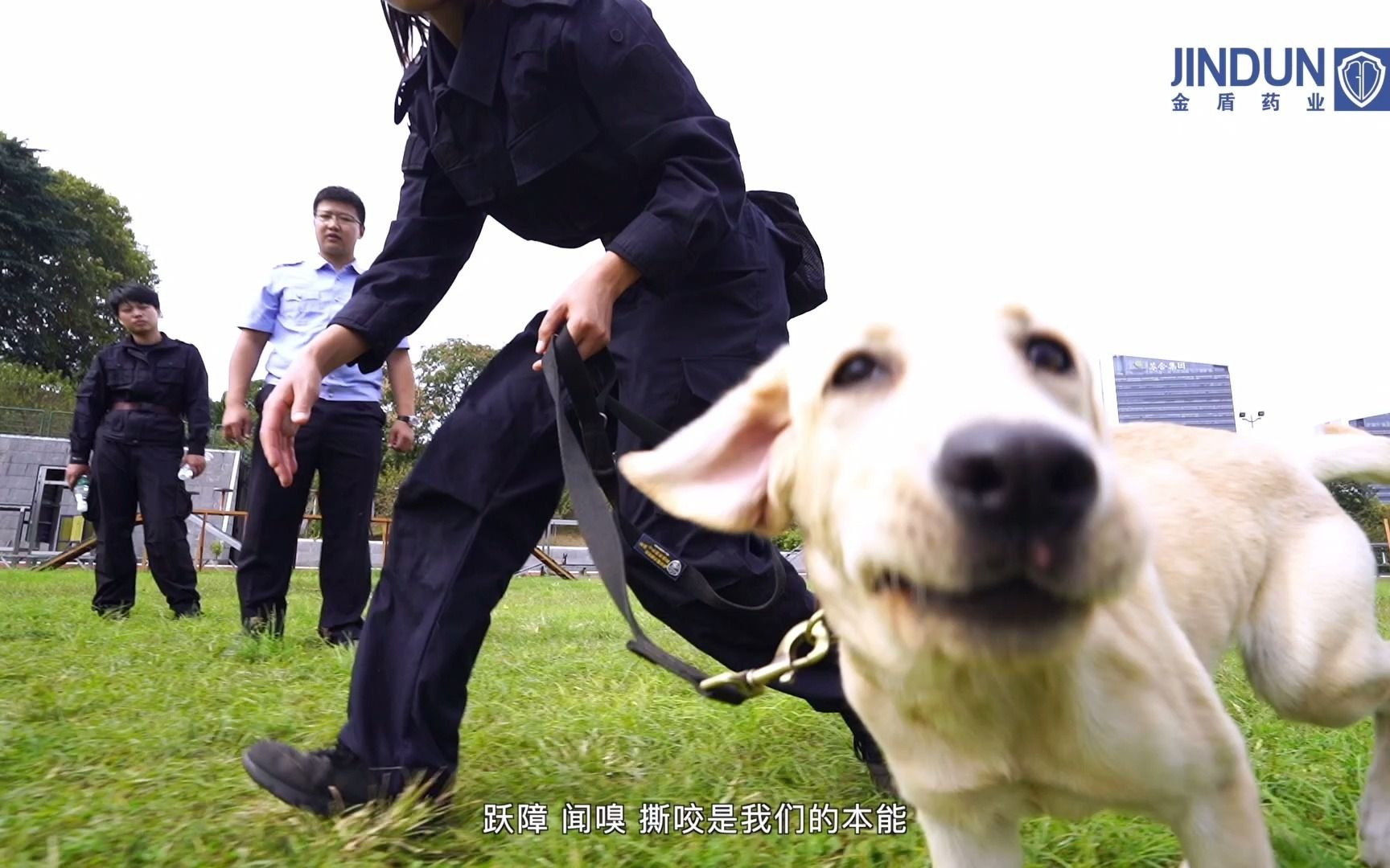 警犬飞虎的训练日记—南京金盾药业品牌宣传片