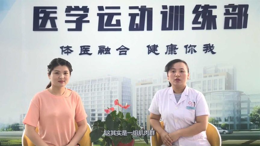 盆底肌的运动康复