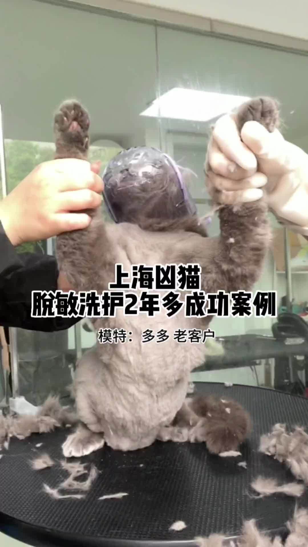 这应该是我最后一次为它服务了,我的任务 完成了,以