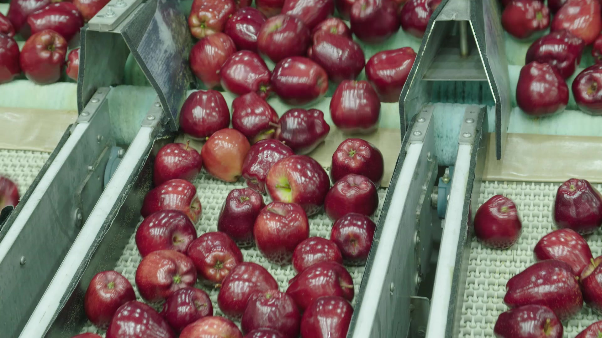 华盛顿苹果的食品安全标准,保障食品安全