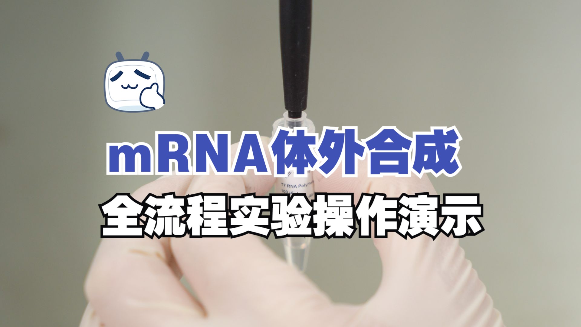 mRNA体外合成(IVT)全流程实验操作演示