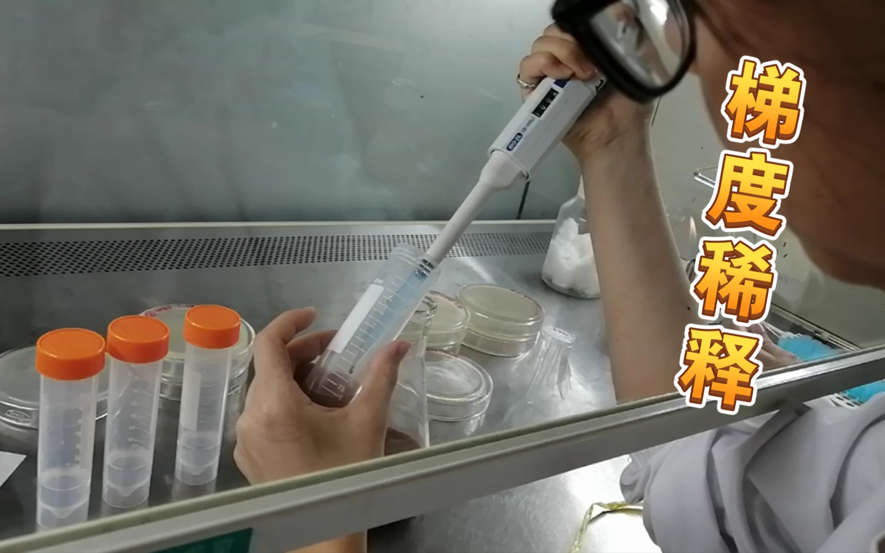 【微生物实验】梯度稀释