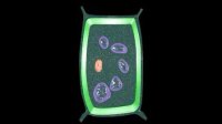 初中生物3D视频植物细胞生长过程示意