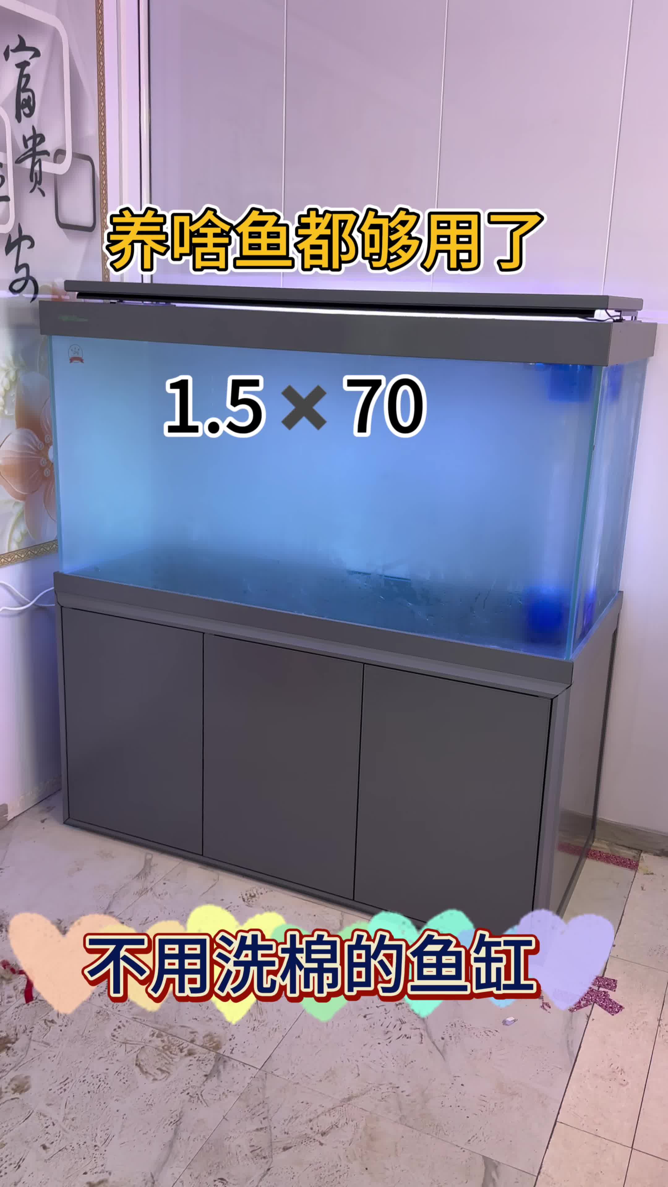 #粪便分离鱼马桶#下过滤超白鱼缸