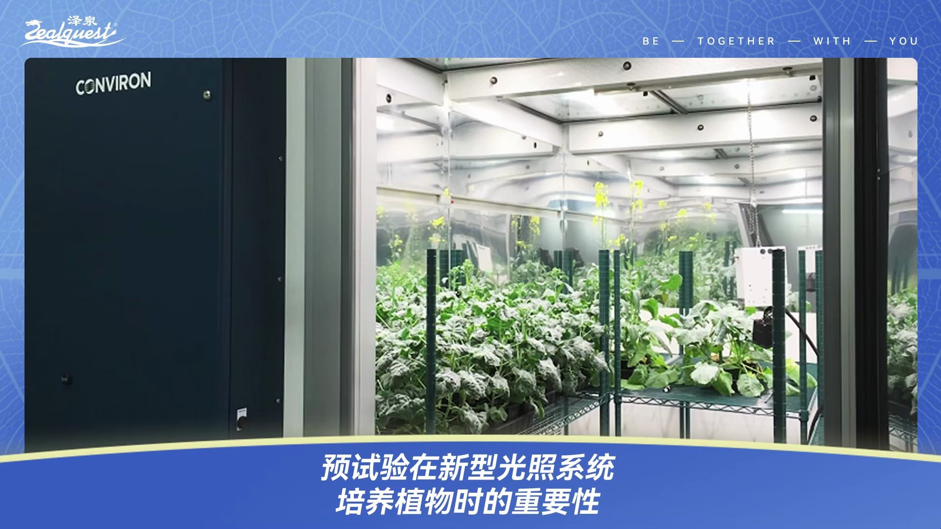 预试验在新型光照系统培养植物时的重要性