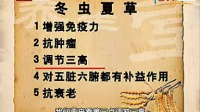 冬虫夏草的作用