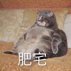 世良制作 
