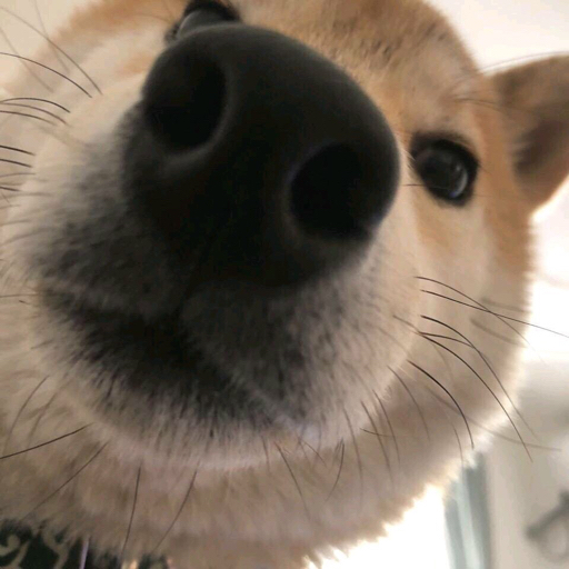 卡巴内瑞…… 