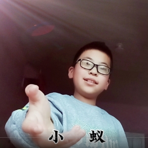 ZNF小蚁呀- 