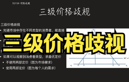 三级价格歧视 | 产业组织专题
