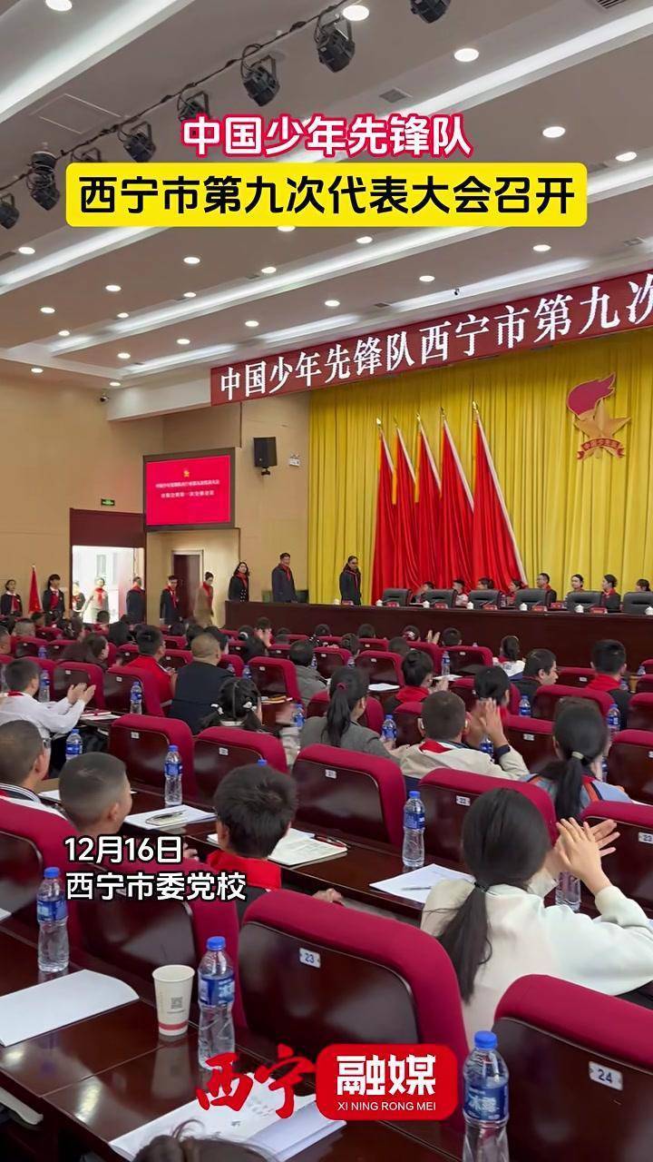 中国少年先锋队西宁市第九次代表大会召开#西宁