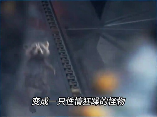 动物被黑心科学家拿来做实验