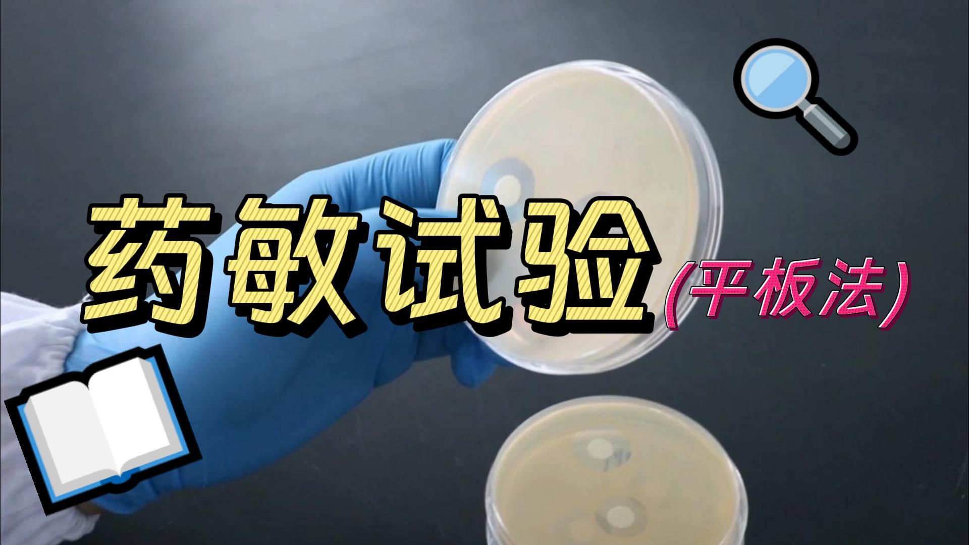 药敏试验平板法
